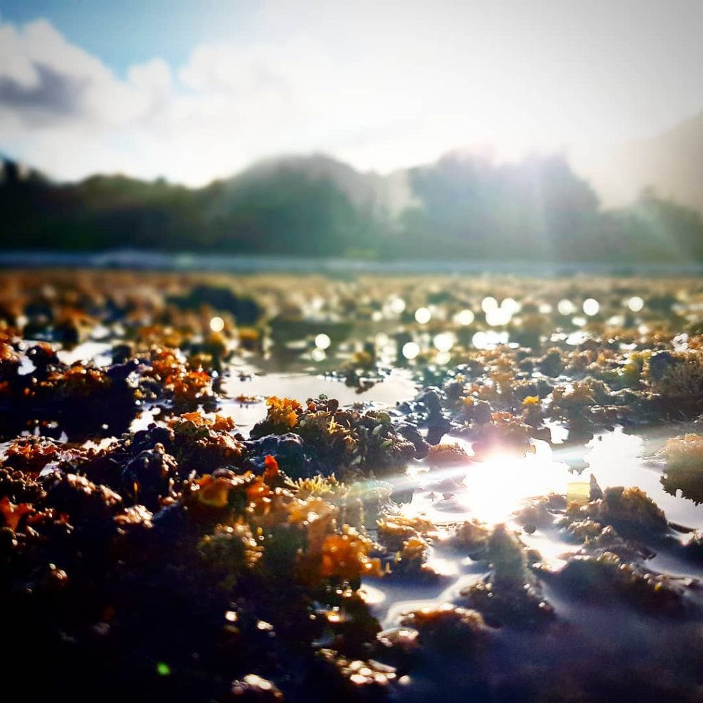 Panui – Land Court – Ministry of Justice, Cook Islands